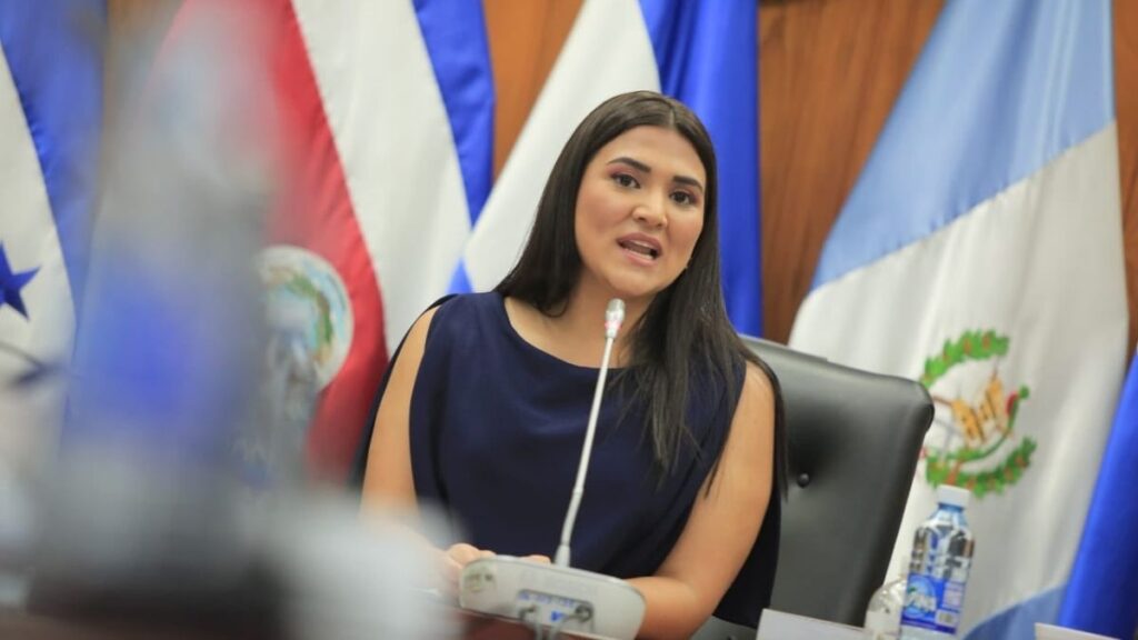 Diputada Alexia Rivas afirma que fondos otorgados a ONG´s eran ...