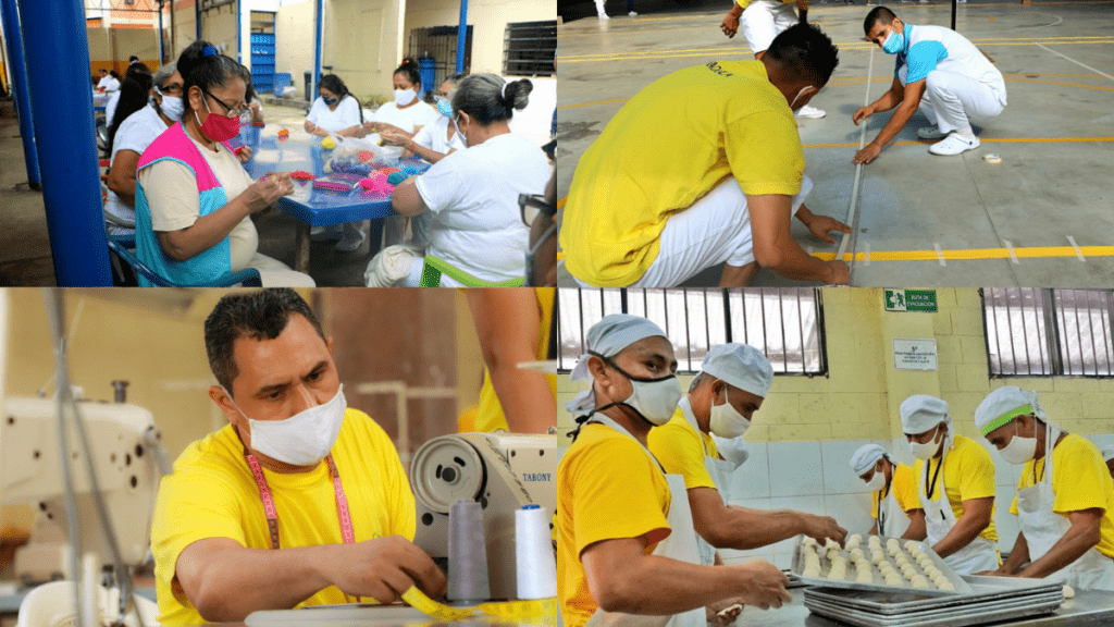 Plan Cero Ocio continúa cambiando la vida de privados de libertad