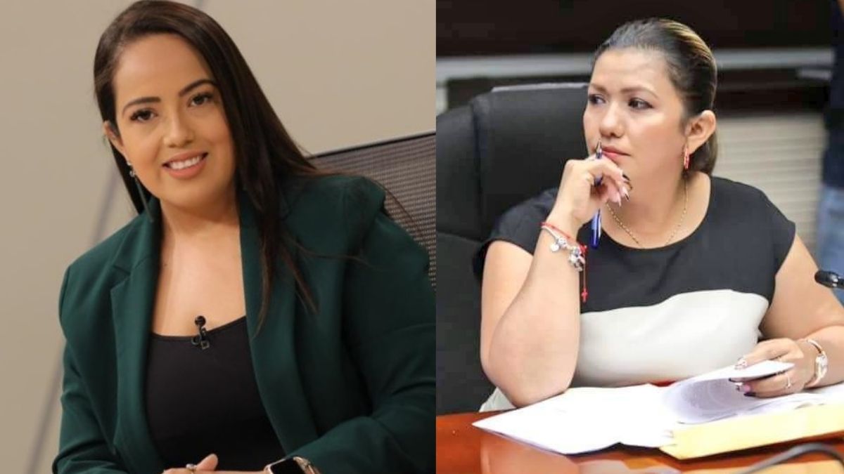 Marcela Pineda a Rosy Romero: "Cuando la dejen sin curul, usted podrá ...