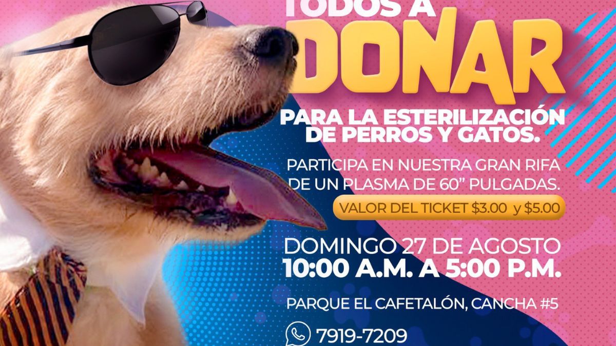 Santa Tecla promueve el bienestar animal con el Perritón, actividad para promover la ...