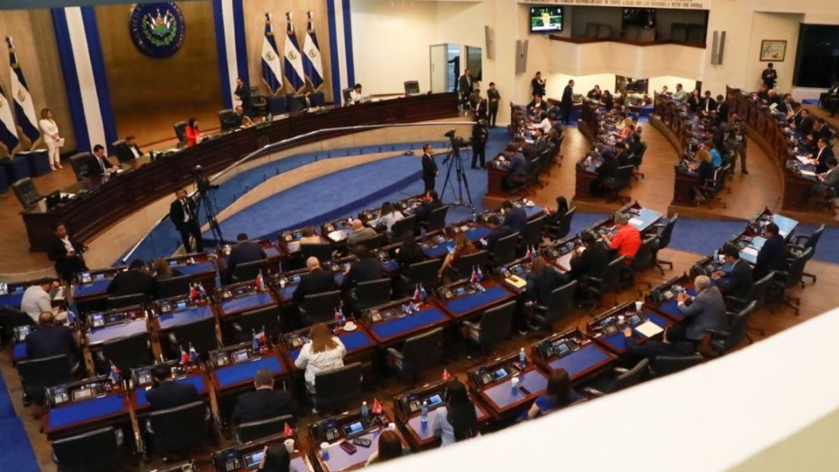 Diputados garantizan condiciones necesarias para la participación ... Diputados garantizan condiciones necesarias para la participación ...