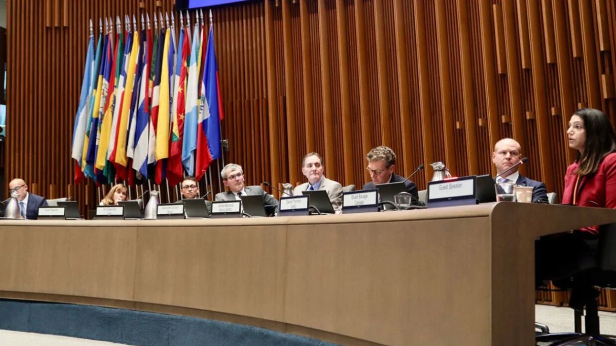 El Salvador tendrá la vicepresidencia del comité ejecutivo de la OPS