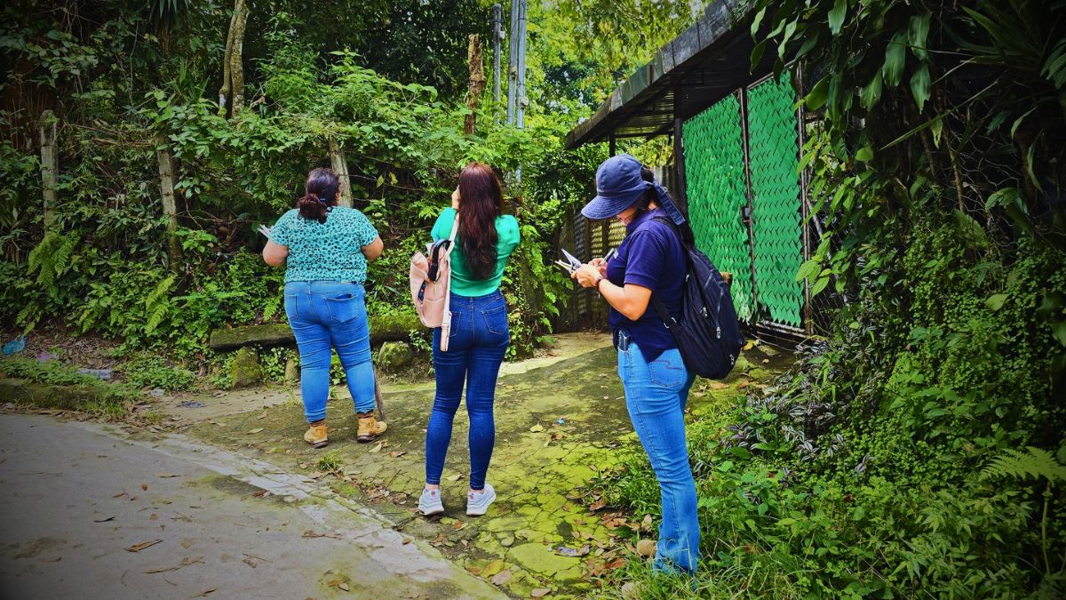 Inspección Ambiental en La Mazada, Olocuilta para Controlar la Tala de ...