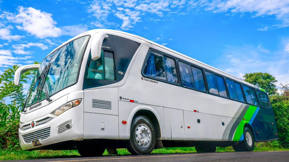 Los Buses Alegres ya están listos para llevarte de paseo: Estos son ...